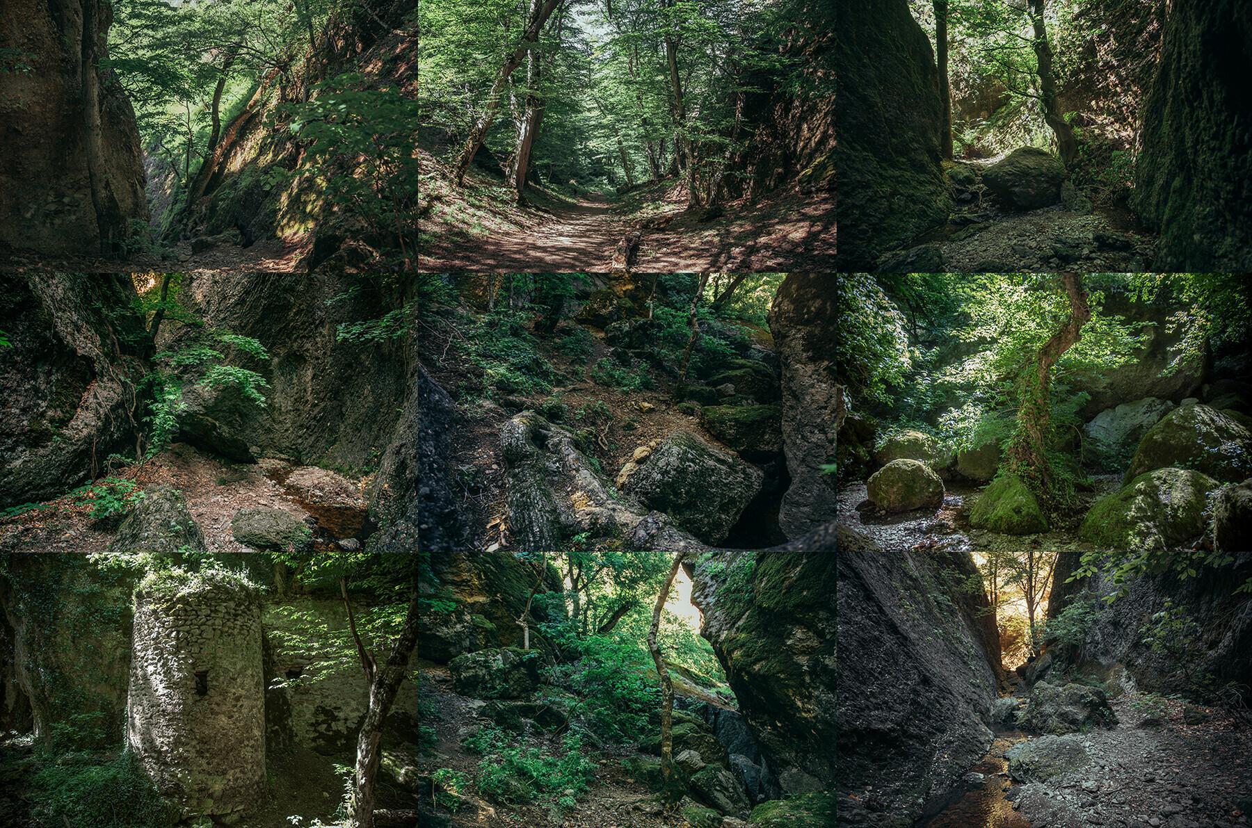 ArtStation - 650+ Forest Gorges Reference Pictures | Resources
