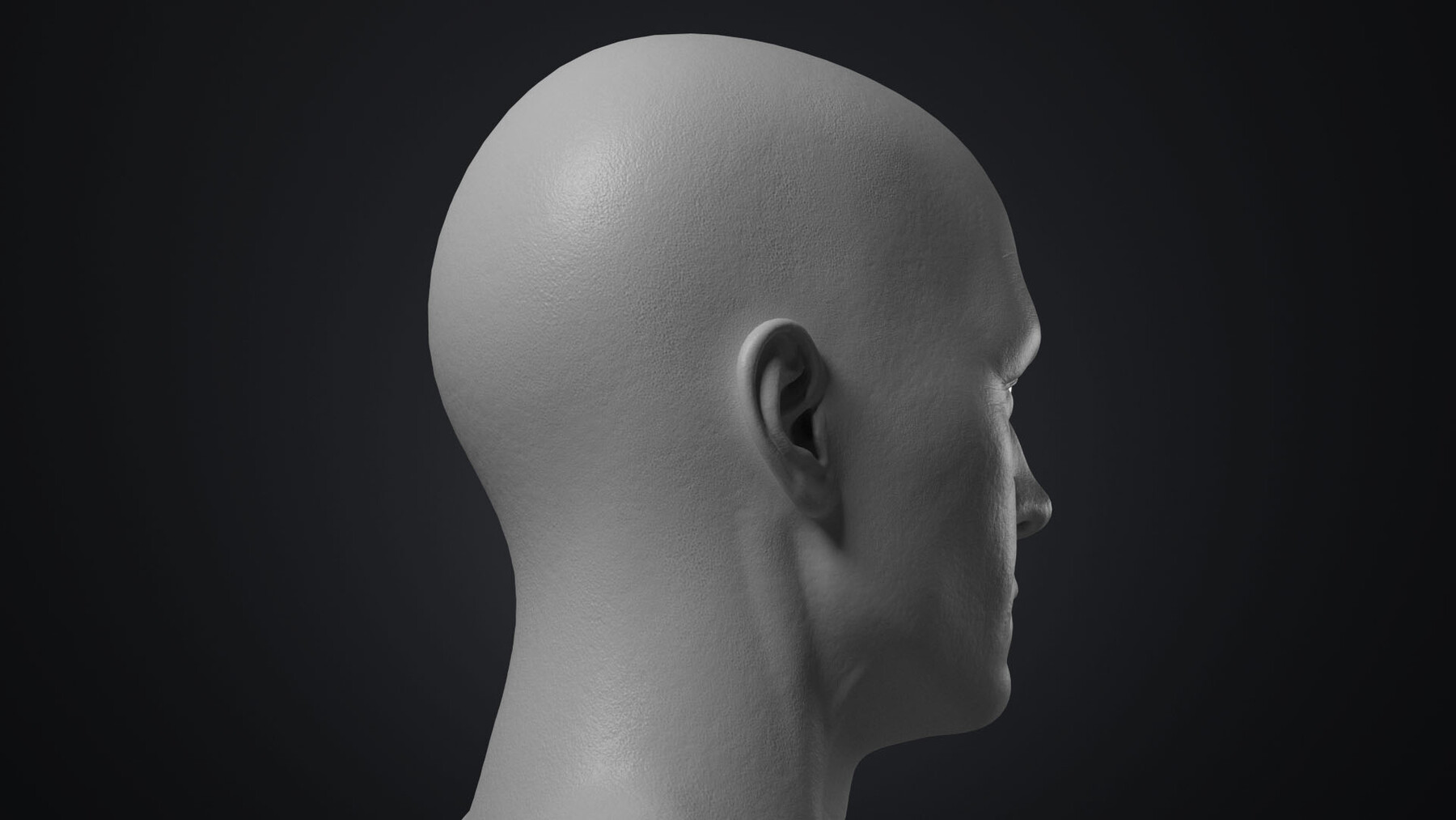 ArtStation - Male Head With Detailed Skin Texture | Resources