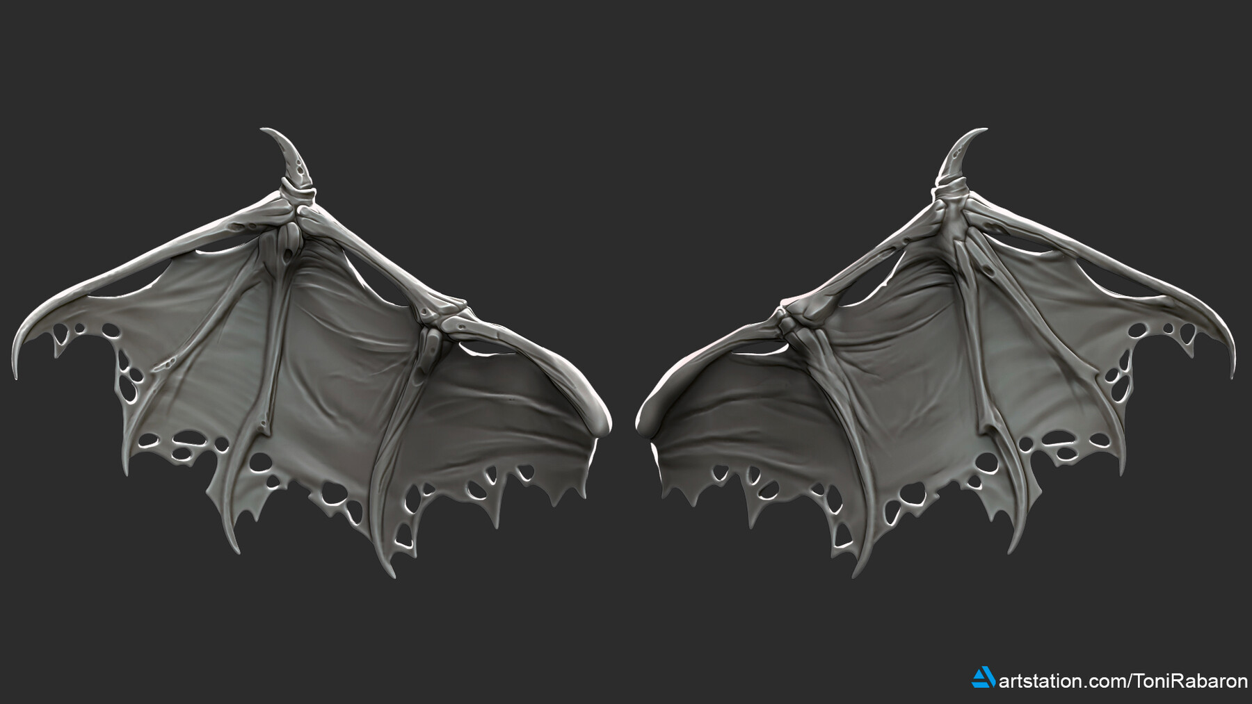 Anton Rabarskyi - Stylized Wings Video Process