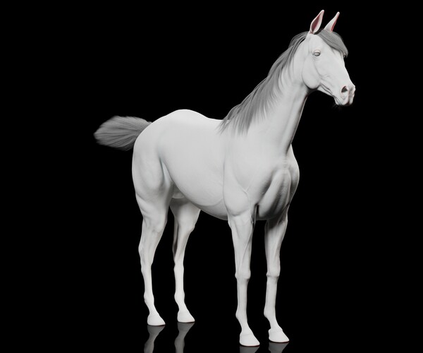ArtStation - Horse Model 3D - Rigged - X-gen interactive grooming ...