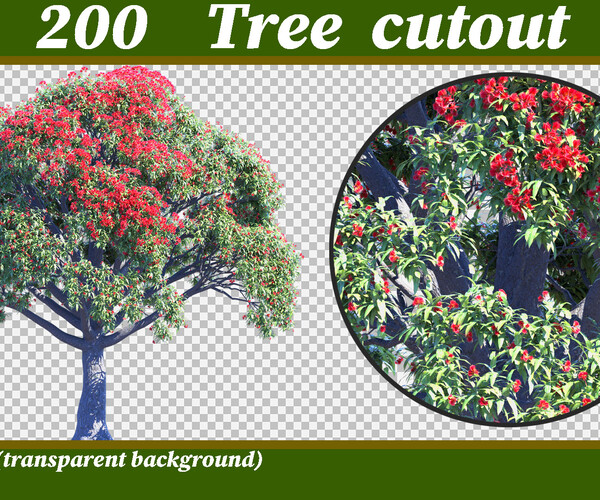 ArtStation - tree cutout png 4k & psd (Alder, Maple, Weeping willow ...