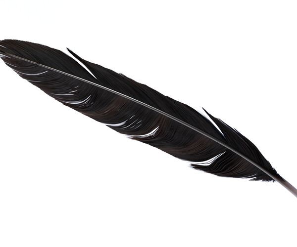 ArtStation - Crow Feather | Resources