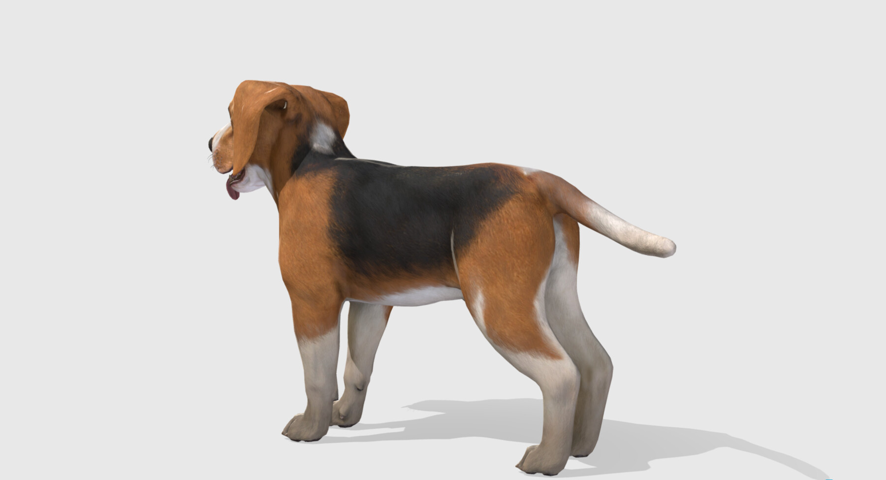 ArtStation - Dog - Beagle | Game Assets