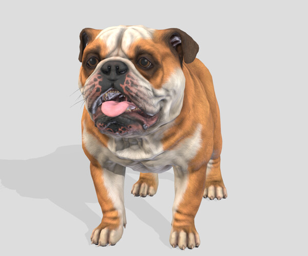 ArtStation - Dog - Bulldog | Game Assets