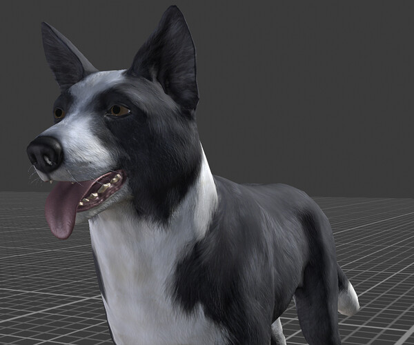 ArtStation - Dog - Border Collie | Game Assets