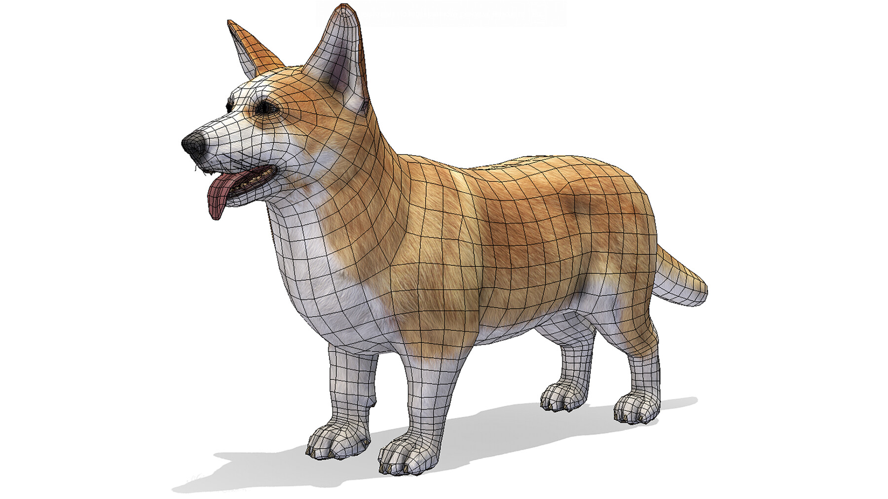 ArtStation - Dog - Corgi | Game Assets