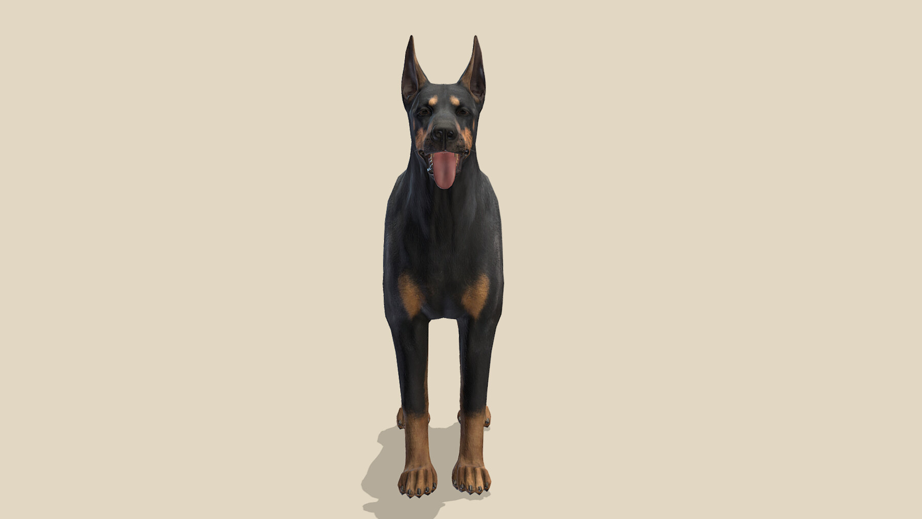 ArtStation - Dog - Doberman | Game Assets