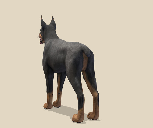 ArtStation - Dog - Doberman | Game Assets