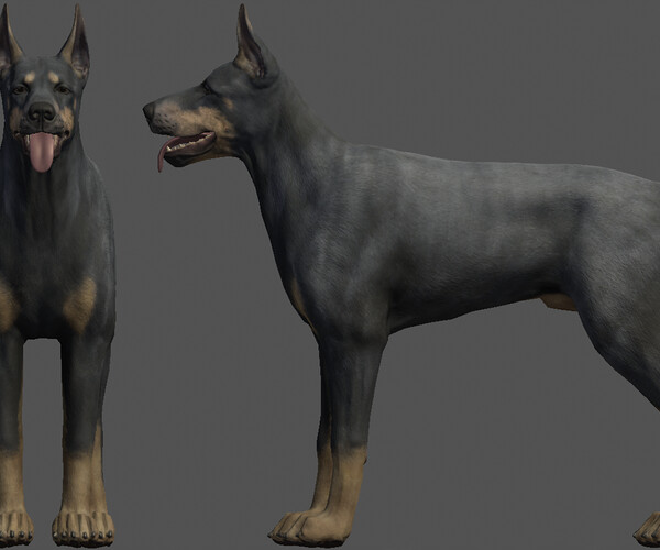 ArtStation - Dog - Doberman | Game Assets