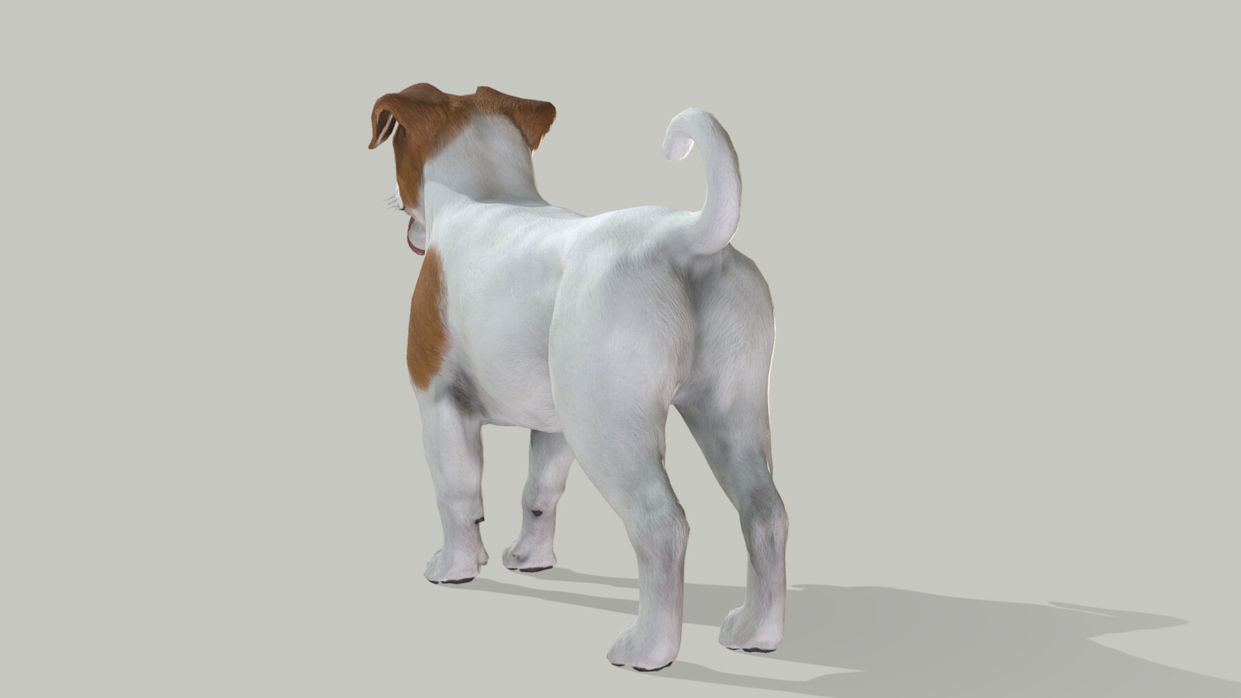 ArtStation - Dog - Jack Russell Terrier | Game Assets