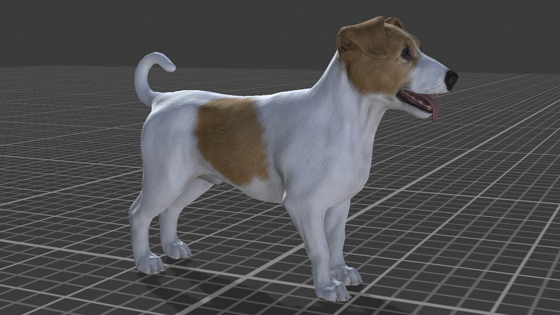 ArtStation - Dog - Jack Russell Terrier | Game Assets
