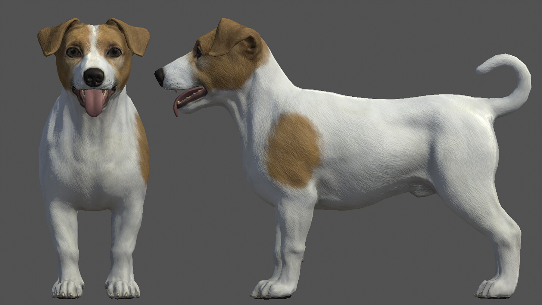 ArtStation - Dog - Jack Russell Terrier | Game Assets
