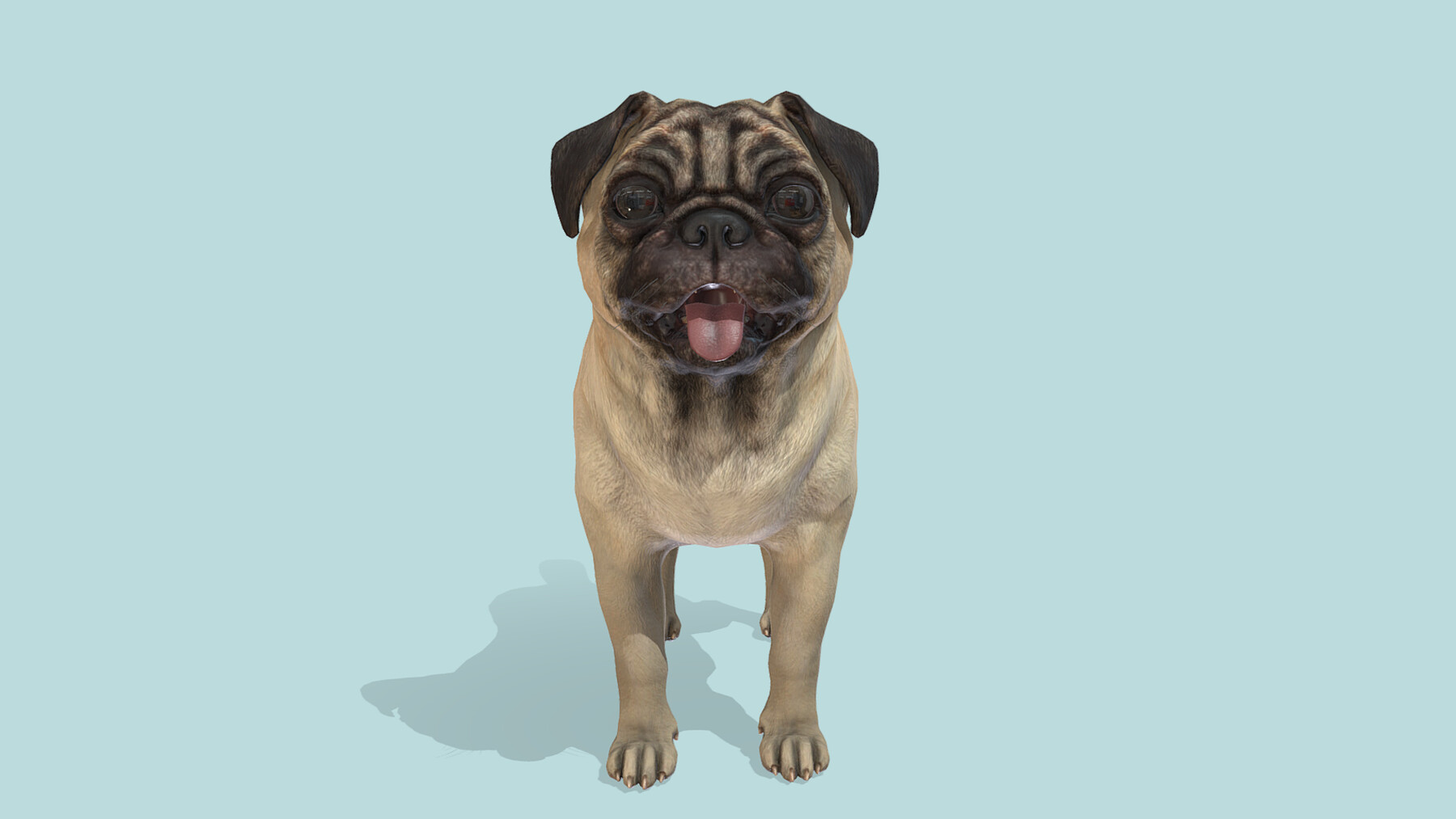 ArtStation - Dog - Pug | Game Assets