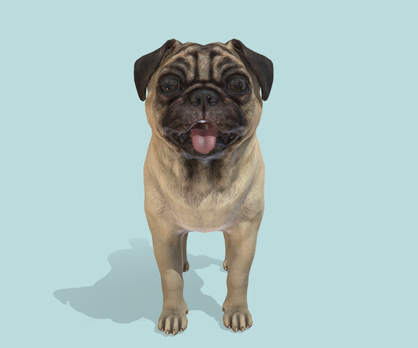 ArtStation - Dog - Pug | Game Assets