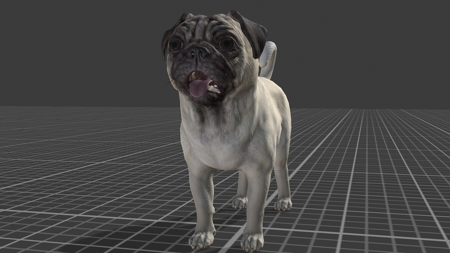 ArtStation - Dog - Pug | Game Assets