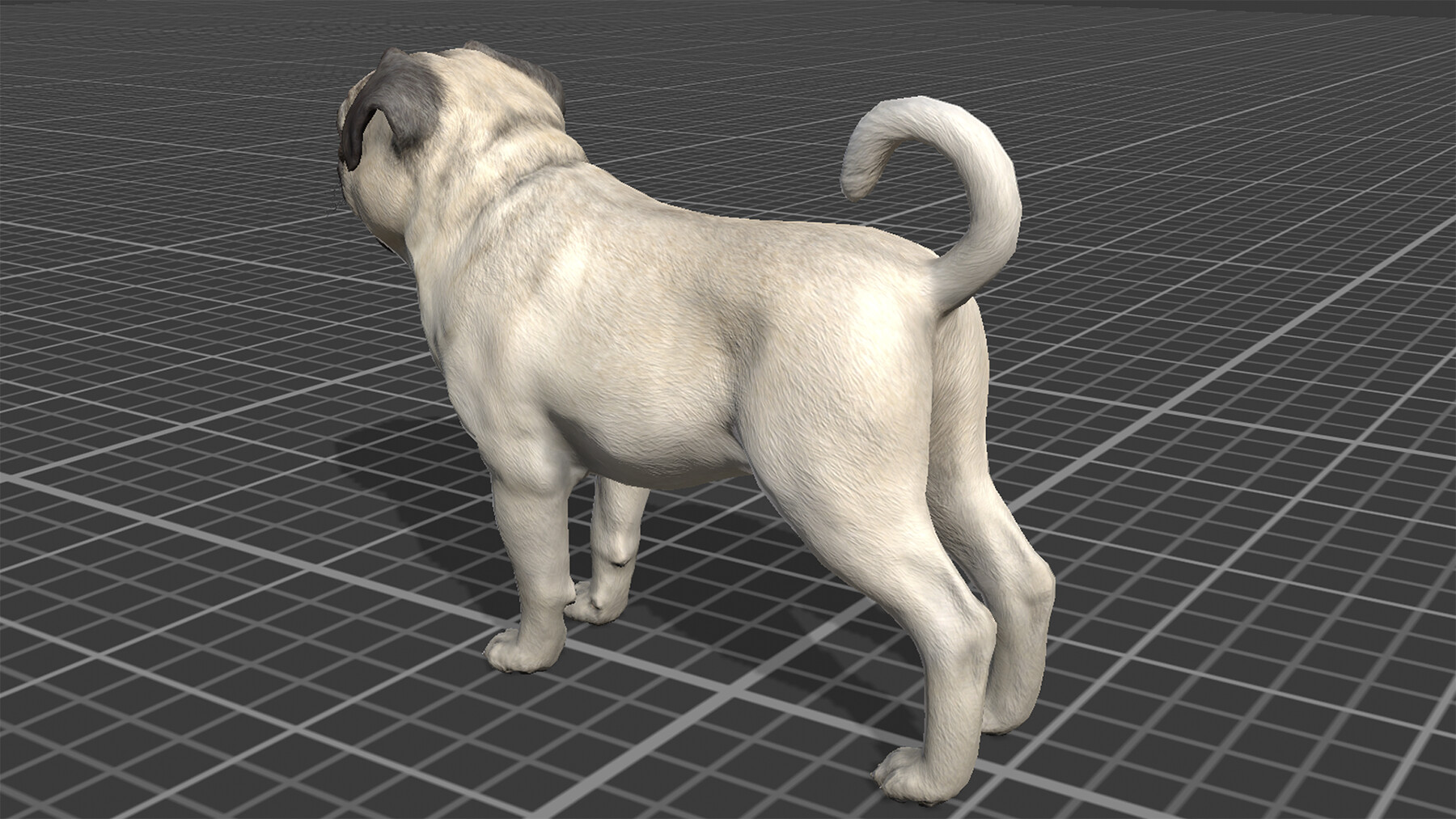 ArtStation - Dog - Pug | Game Assets