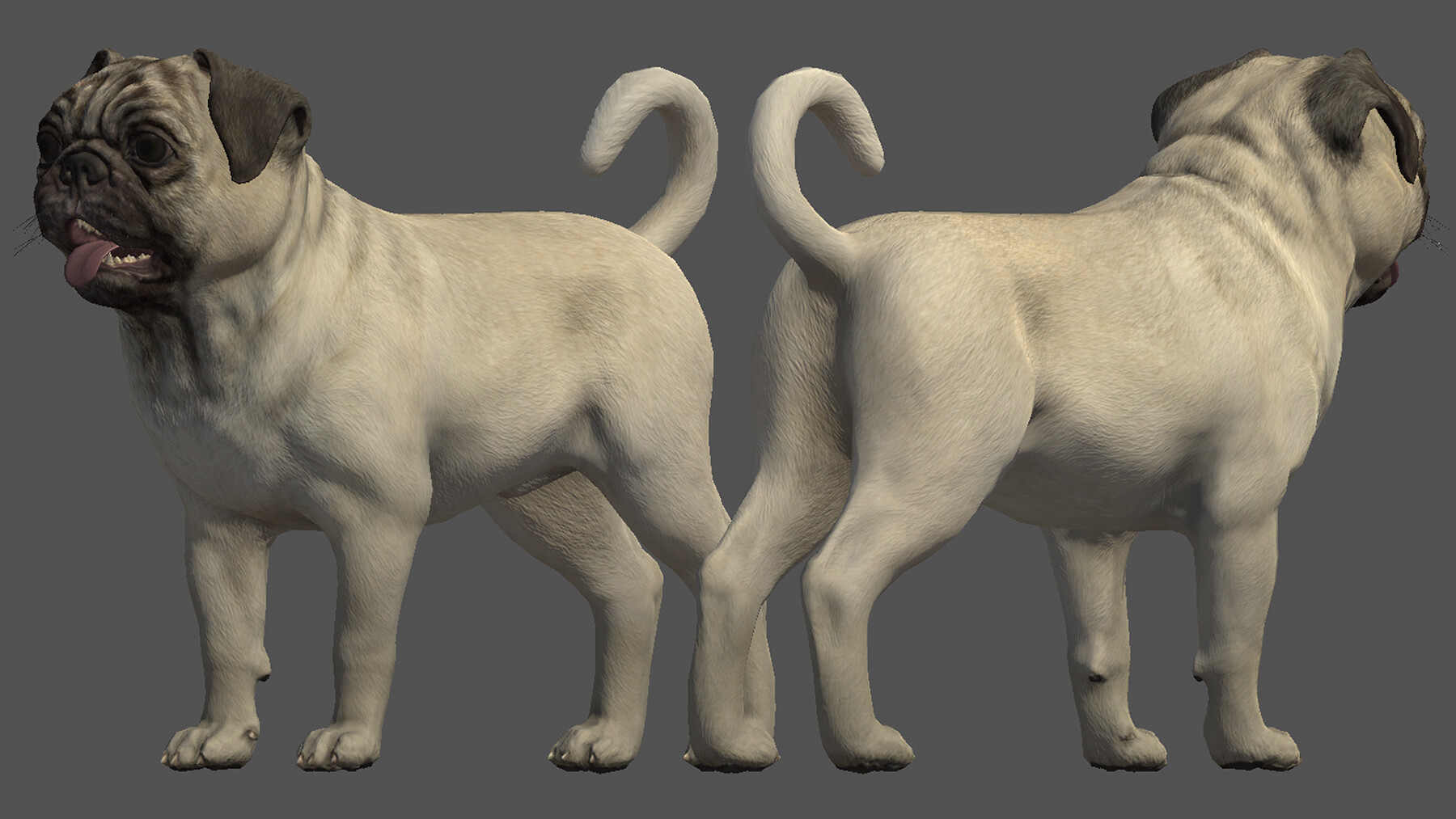 ArtStation - Dog - Pug | Game Assets