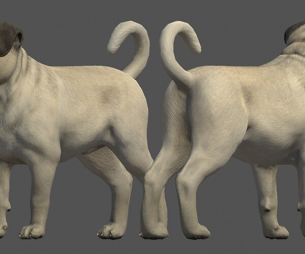 ArtStation - Dog - Pug | Game Assets