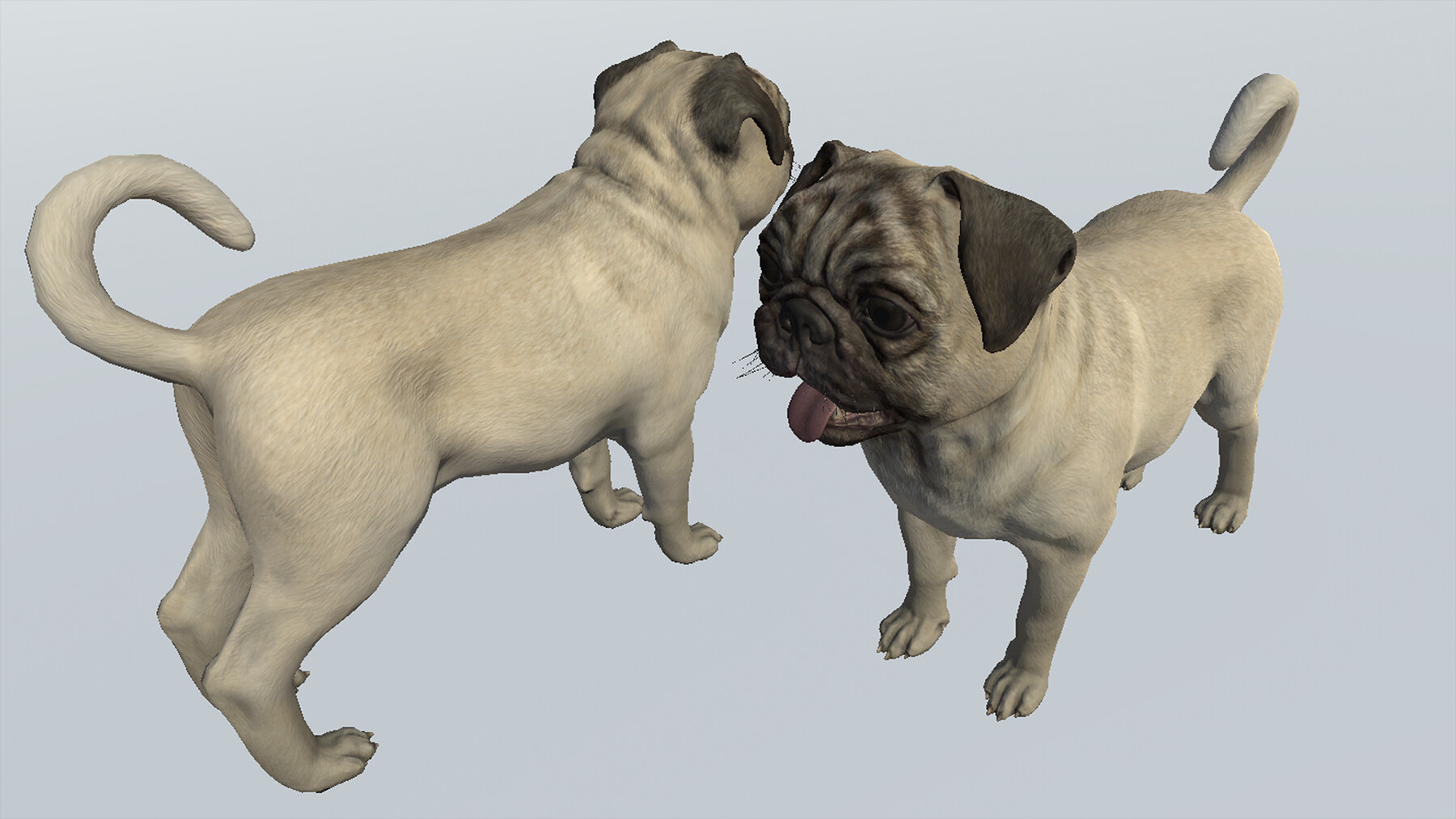 ArtStation - Dog - Pug | Game Assets