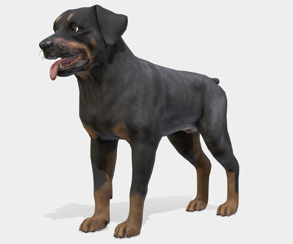 ArtStation - Dog - Rottweiler | Game Assets