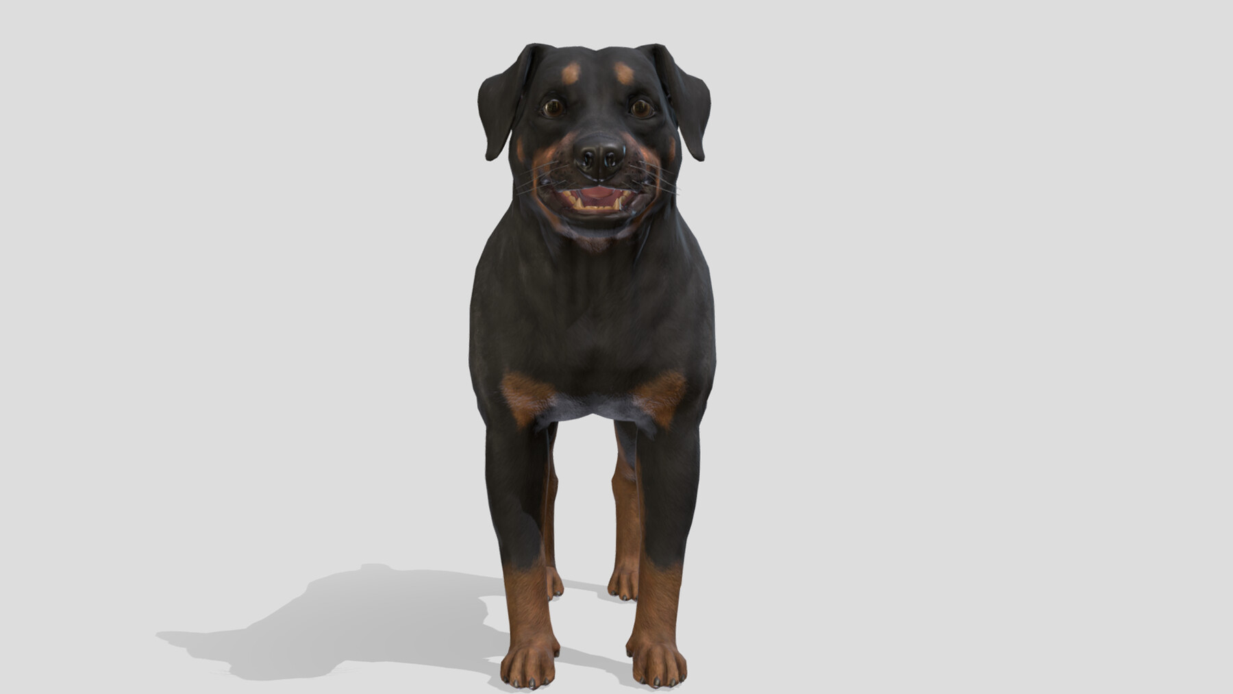 ArtStation - Dog - Rottweiler | Game Assets