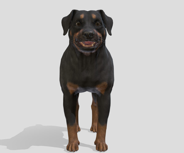 ArtStation - Dog - Rottweiler | Game Assets