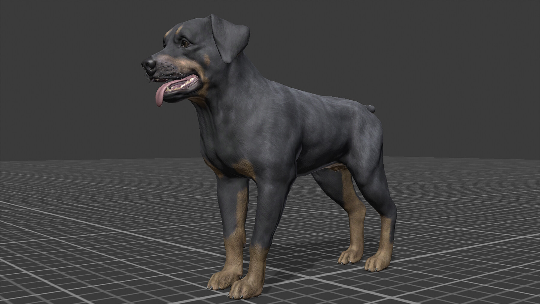 ArtStation - Dog - Rottweiler | Game Assets
