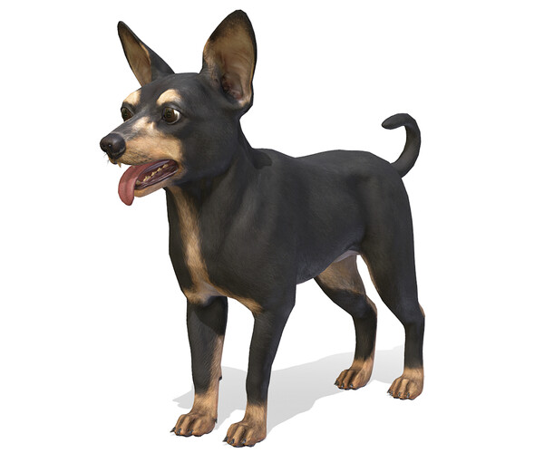 ArtStation - Dog - Toy Terrier | Game Assets