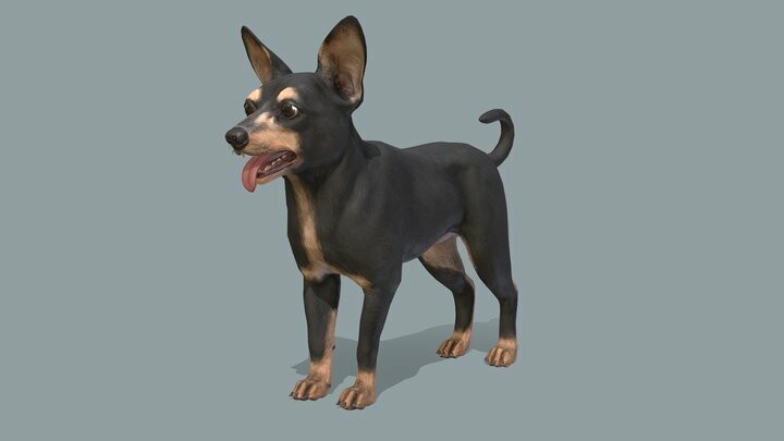 ArtStation - Dog - Toy Terrier | Game Assets