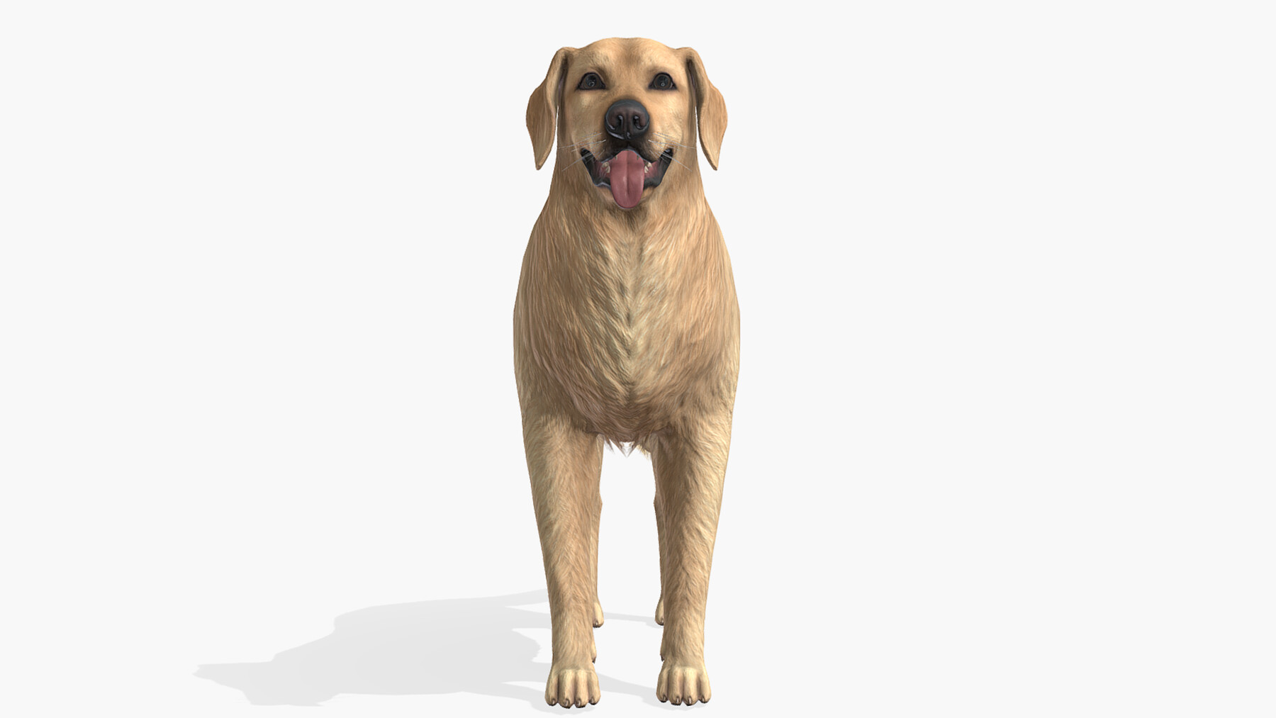 ArtStation - Dog - Golden Retriever | Game Assets