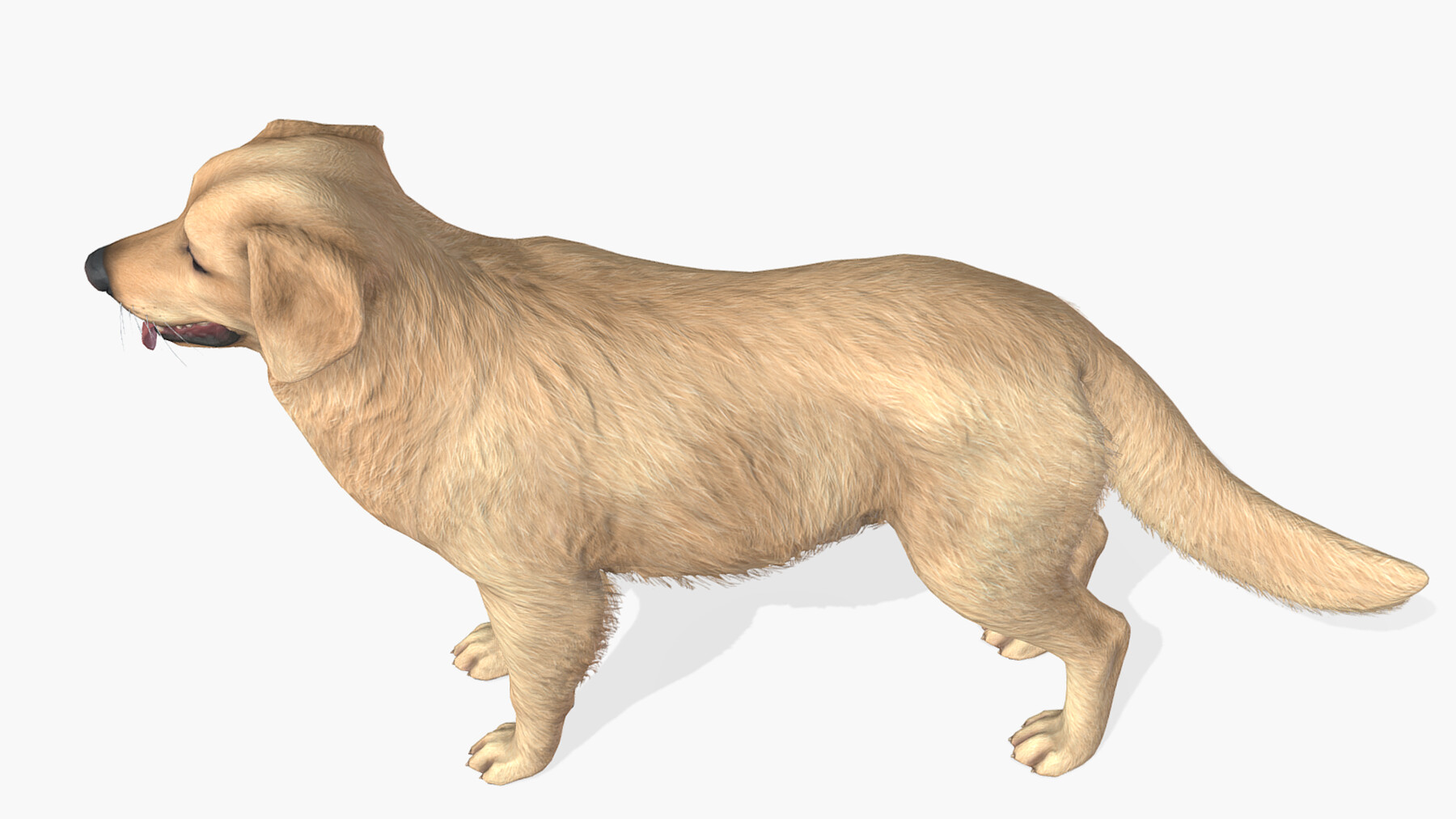 ArtStation - Dog - Golden Retriever | Game Assets