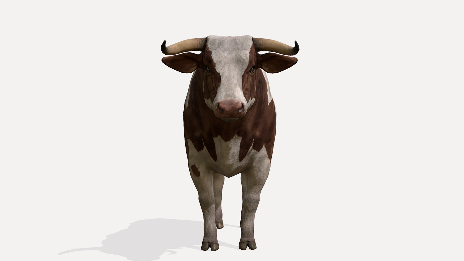 ArtStation - Bull | Game Assets