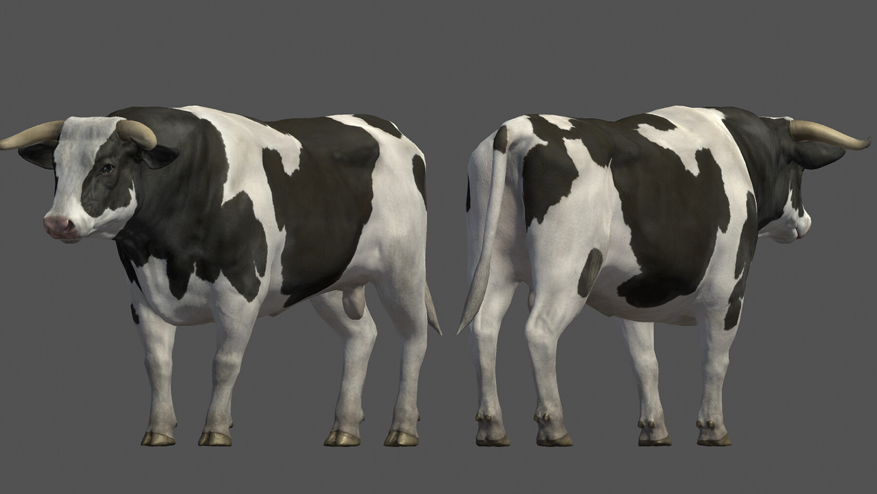 ArtStation - Bull | Game Assets