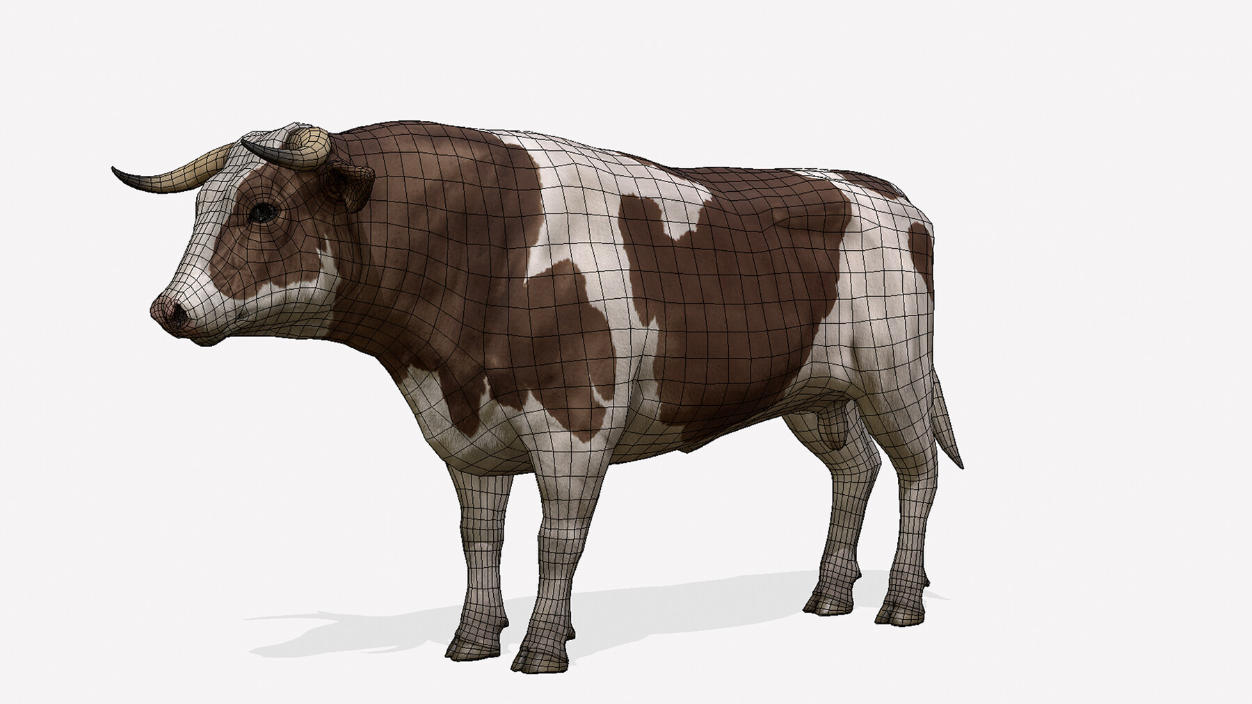 ArtStation - Bull | Game Assets