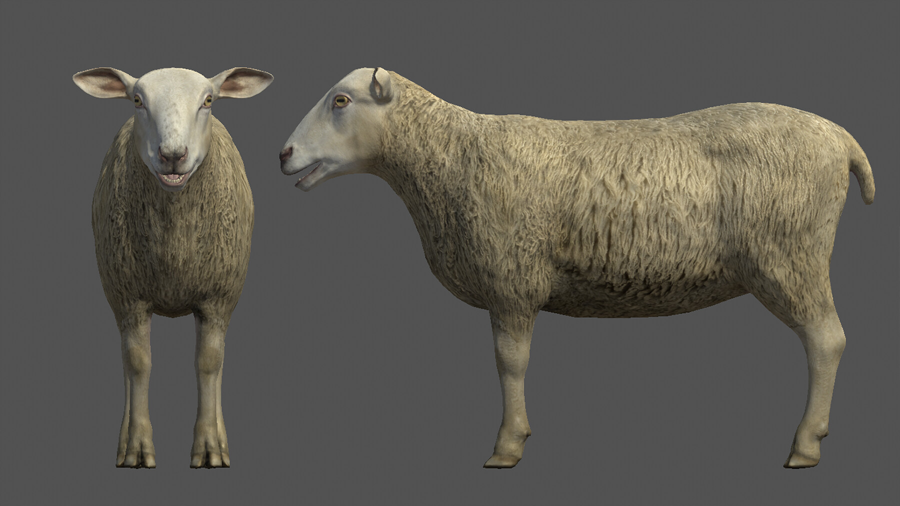 ArtStation - Sheep | Game Assets