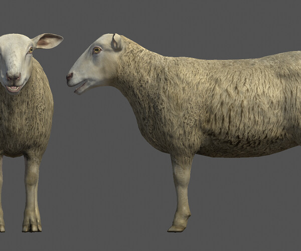 ArtStation - Sheep | Game Assets