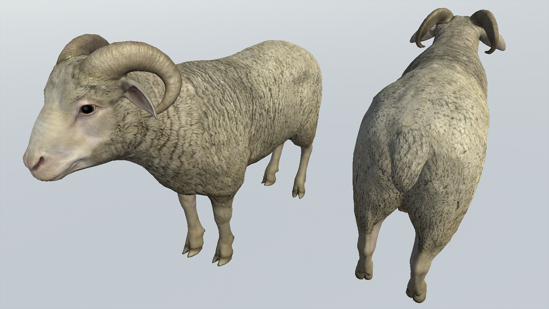 ArtStation - Ram | Game Assets