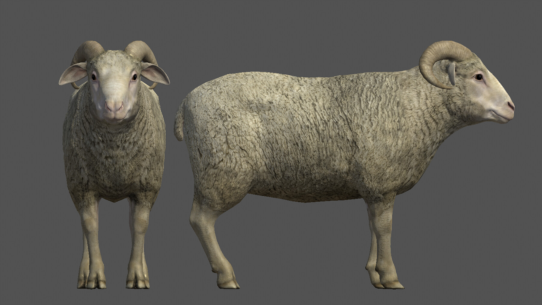 ArtStation - Ram | Game Assets