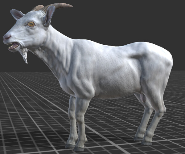 ArtStation - Goat male | Game Assets