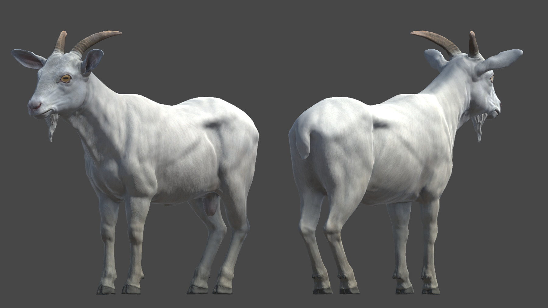 ArtStation - Goat male | Game Assets