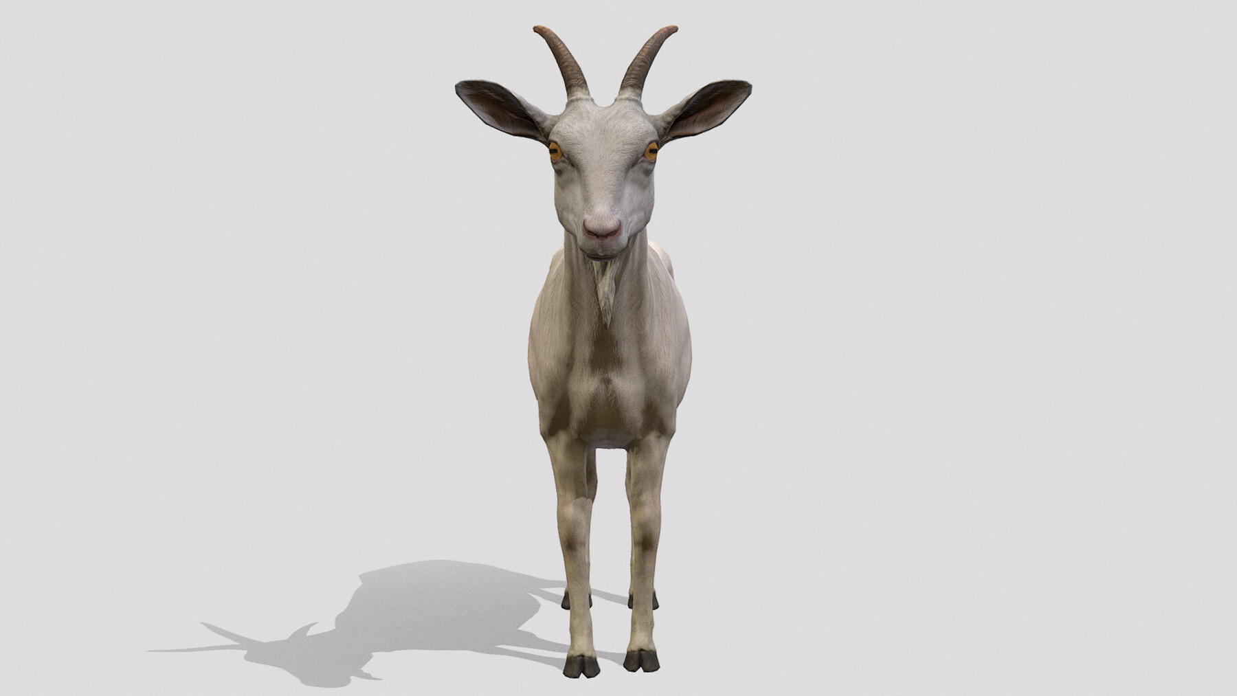 ArtStation - Goat female | Game Assets