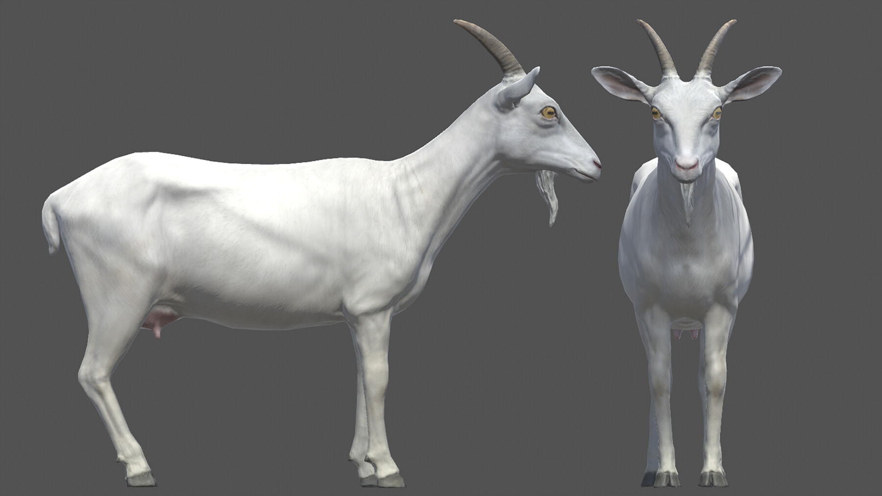 ArtStation - Goat female | Game Assets