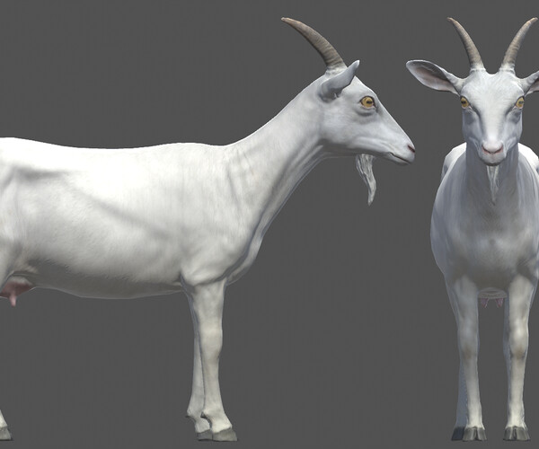 ArtStation - Goat female | Game Assets