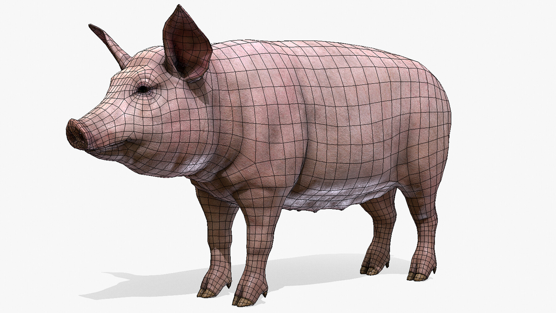 ArtStation - Pig | Game Assets