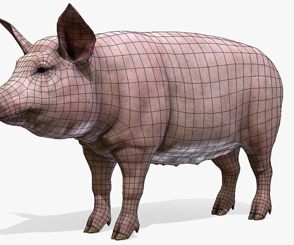 ArtStation - Pig | Game Assets