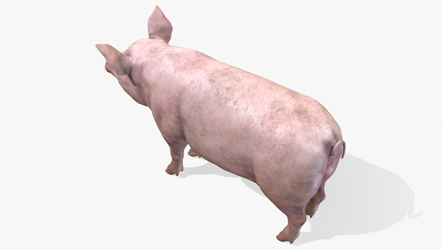 ArtStation - Pig | Game Assets