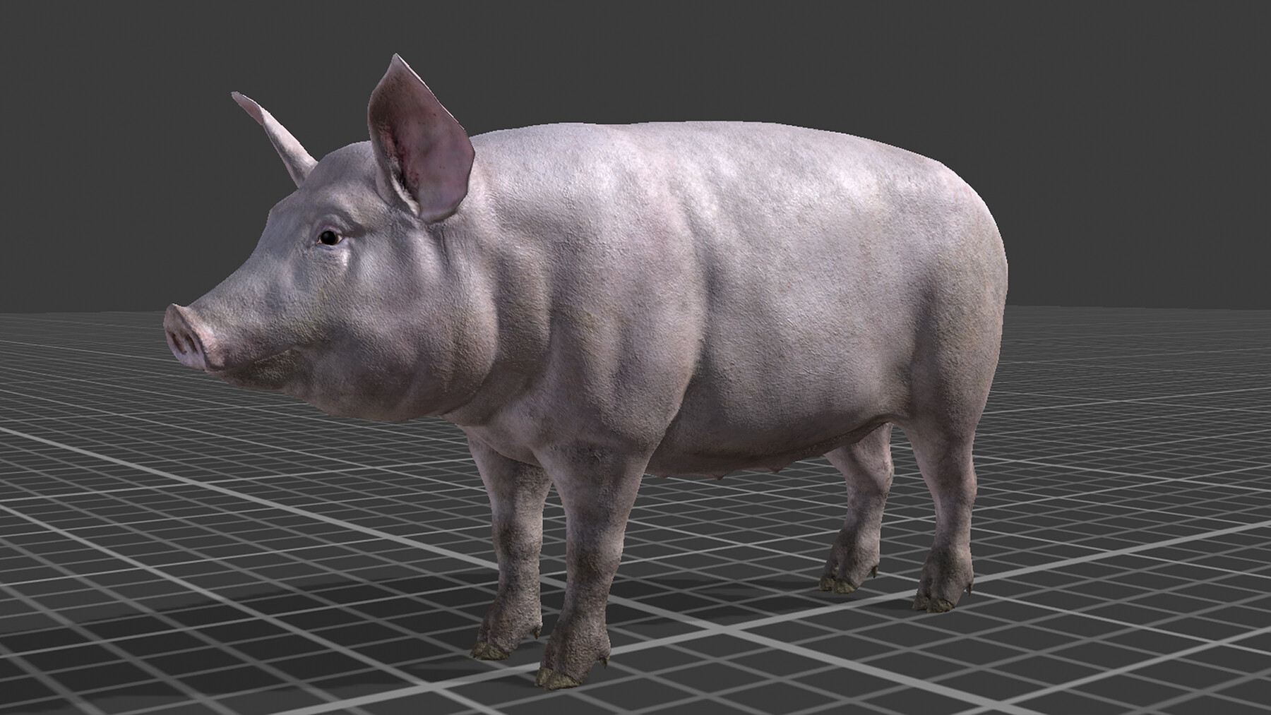 ArtStation - Pig | Game Assets