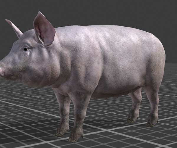 ArtStation - Pig | Game Assets