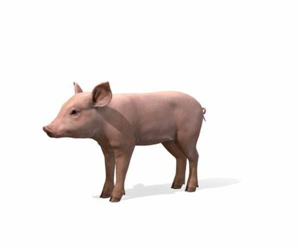 ArtStation - Piggy | Game Assets