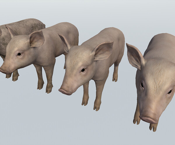 ArtStation - Piggy | Game Assets
